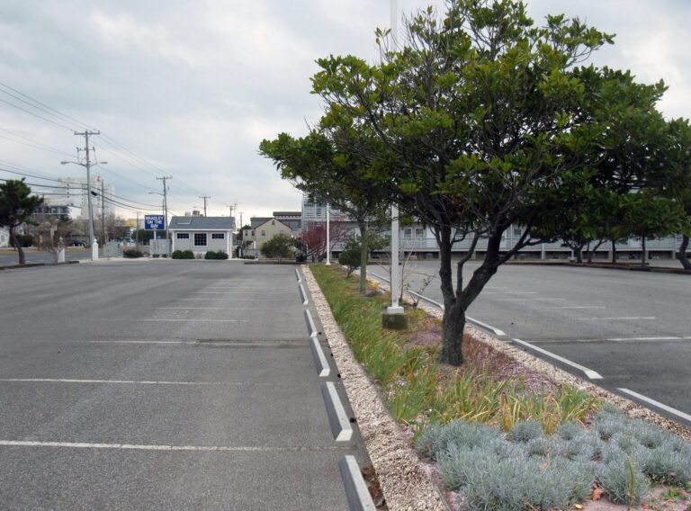 Stormwater Management BMP Feasibility Study | Architects / Engineers