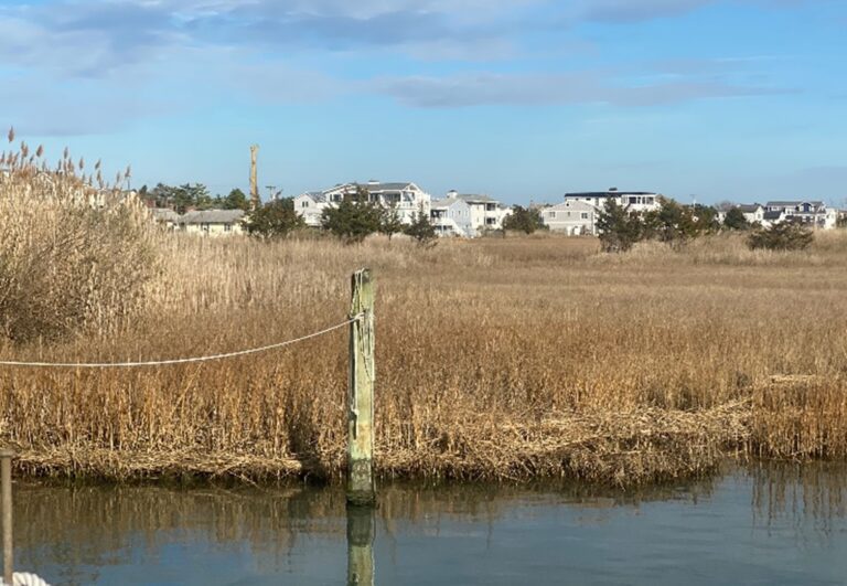 Flood Mitigation Planning Study - West Cedar Street, Lewes | Architects ...