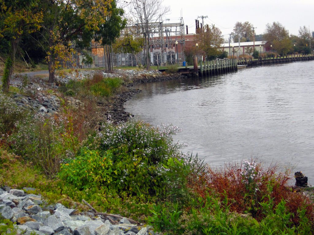 Seaford Living Shoreline Stabilization | Architects / Engineers